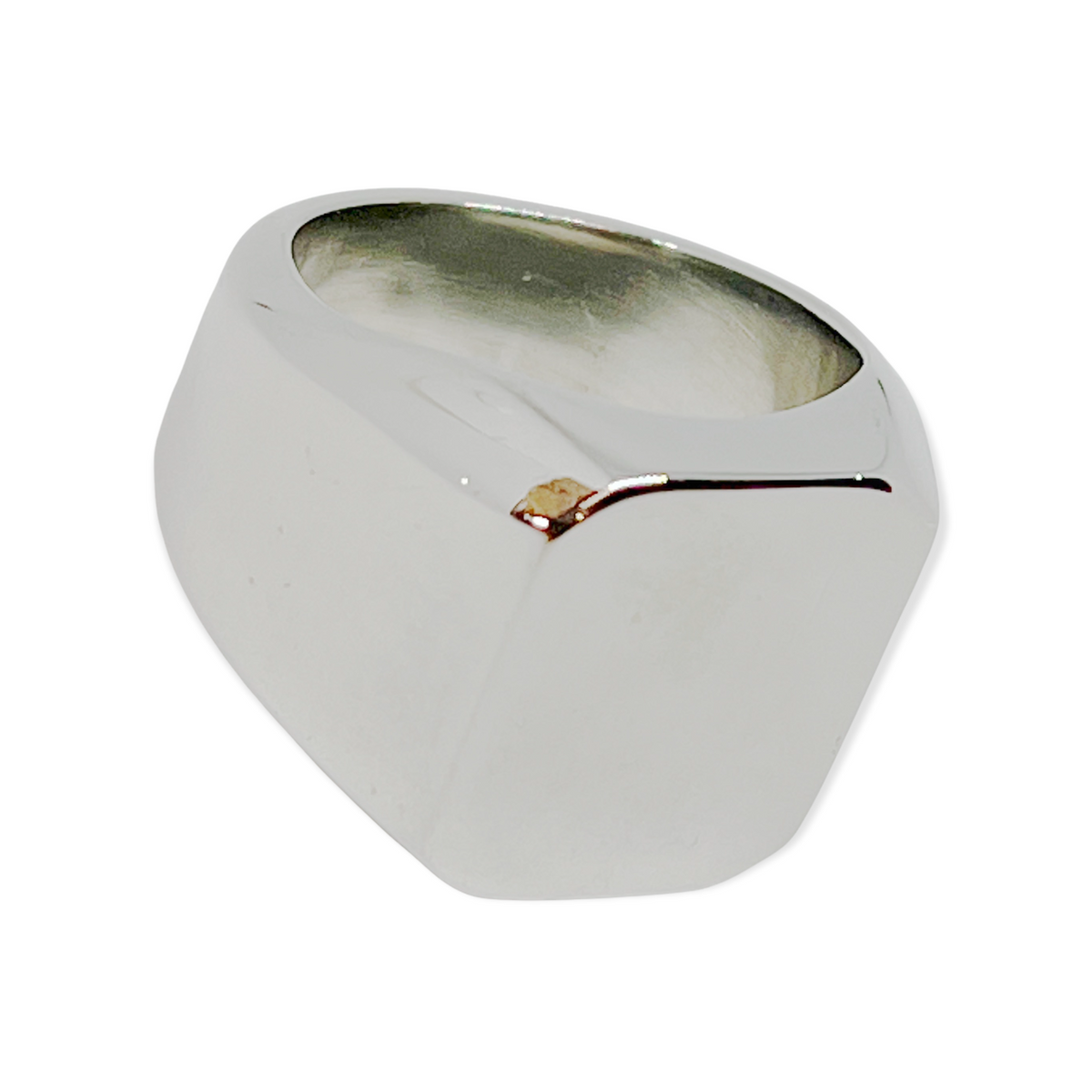 Blank Signet Stainless Steel Ring – Simple Natural Design